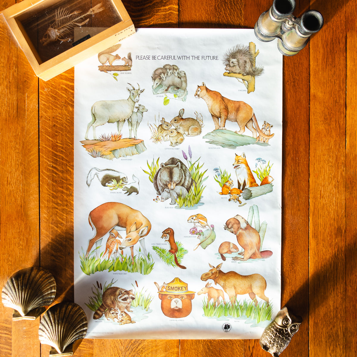 Baby Animals Vintage Forest Service Wildlife Poster Wall Decor – Eagle ...
