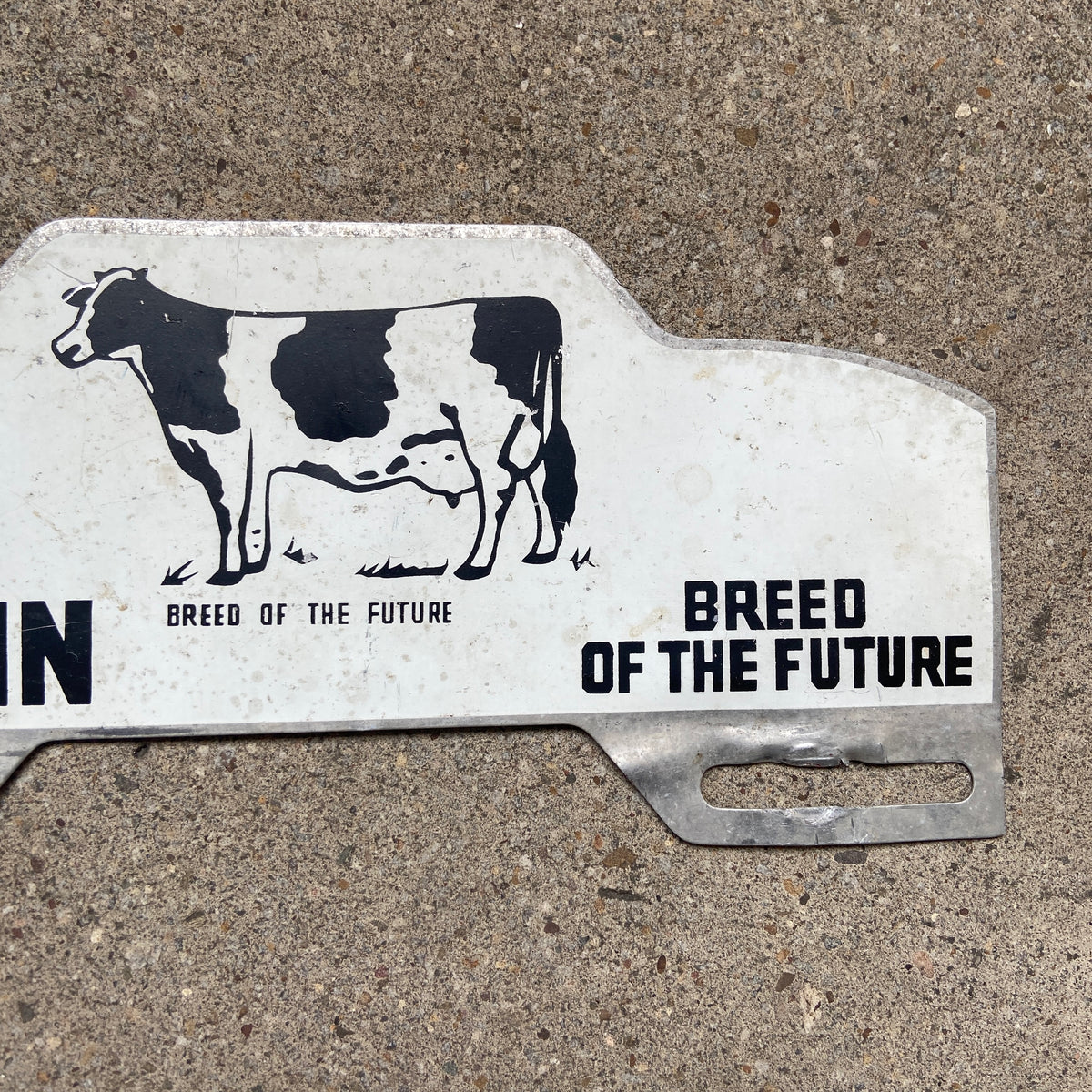 1970s Holstein Cow License Plate Topper Cattle Dairy Farm Milk Kitchen ...