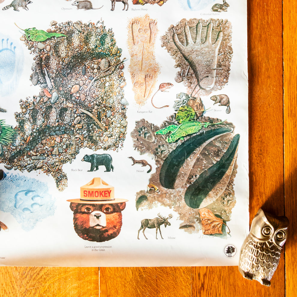 Animal Tracks Vintage Forest Service Wildlife Poster Wall Decor – Eagle ...