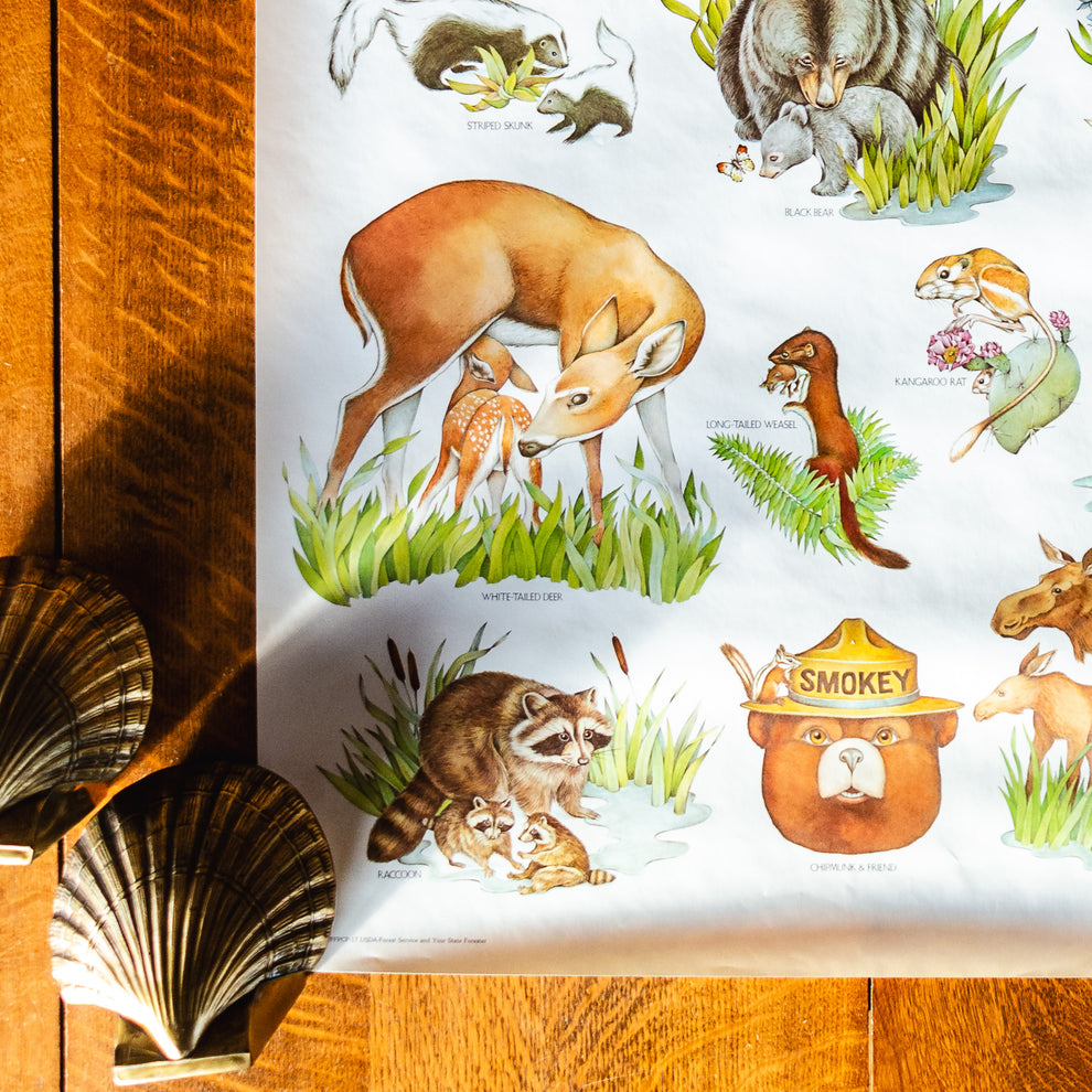 Baby Animals Vintage Forest Service Wildlife Poster Wall Decor – Eagle ...