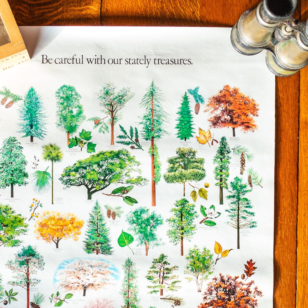 State Trees Vintage Forest Service Wildlife Poster Wall Decor – Eagle's ...