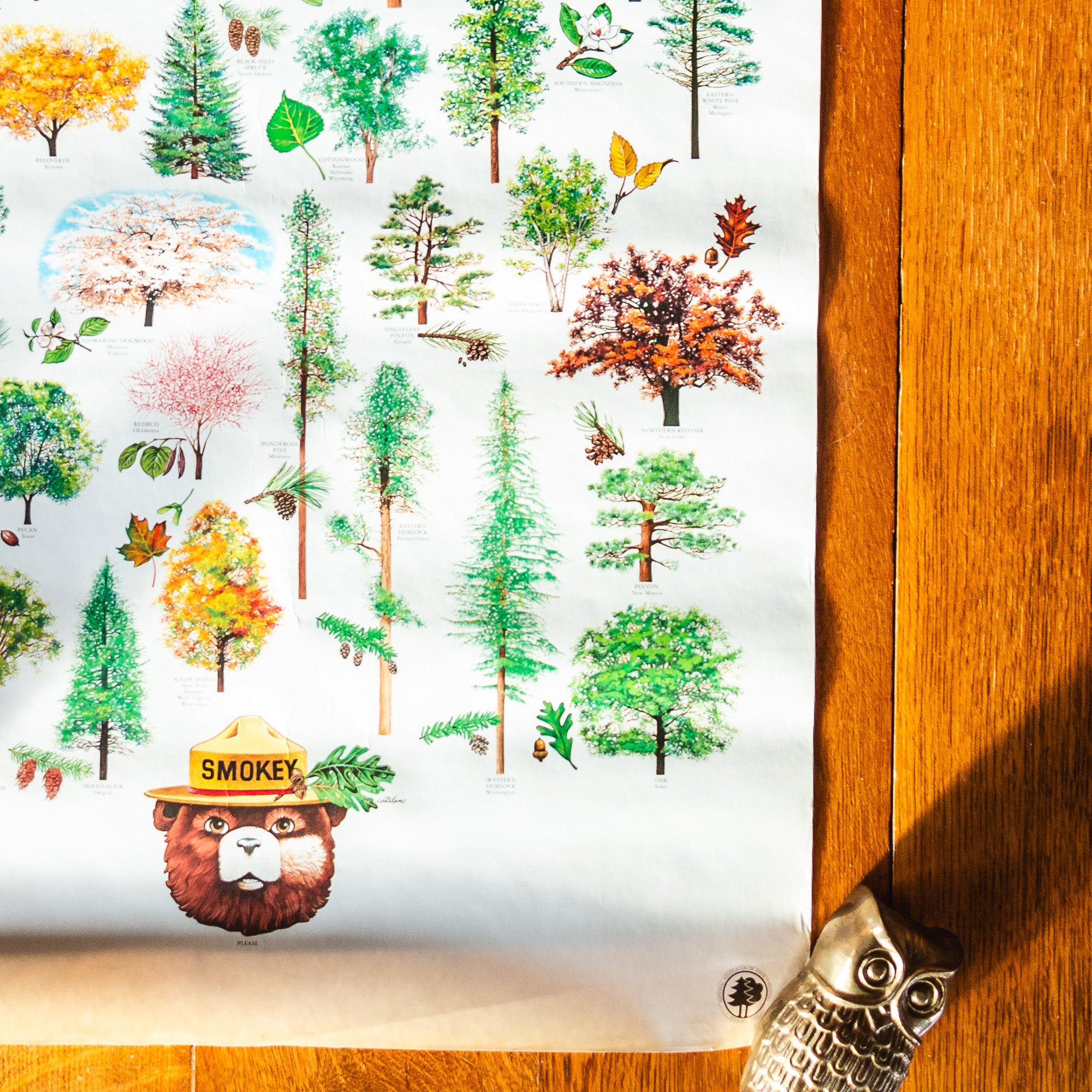 State Trees Vintage Forest Service Wildlife Poster Wall Decor – Eagle's ...