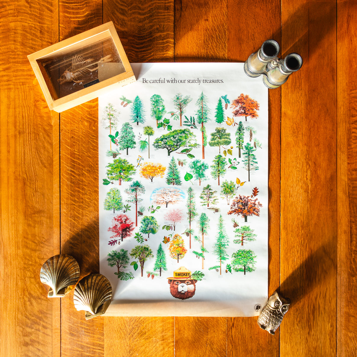 State Trees Vintage Forest Service Wildlife Poster Wall Decor – Eagle's ...