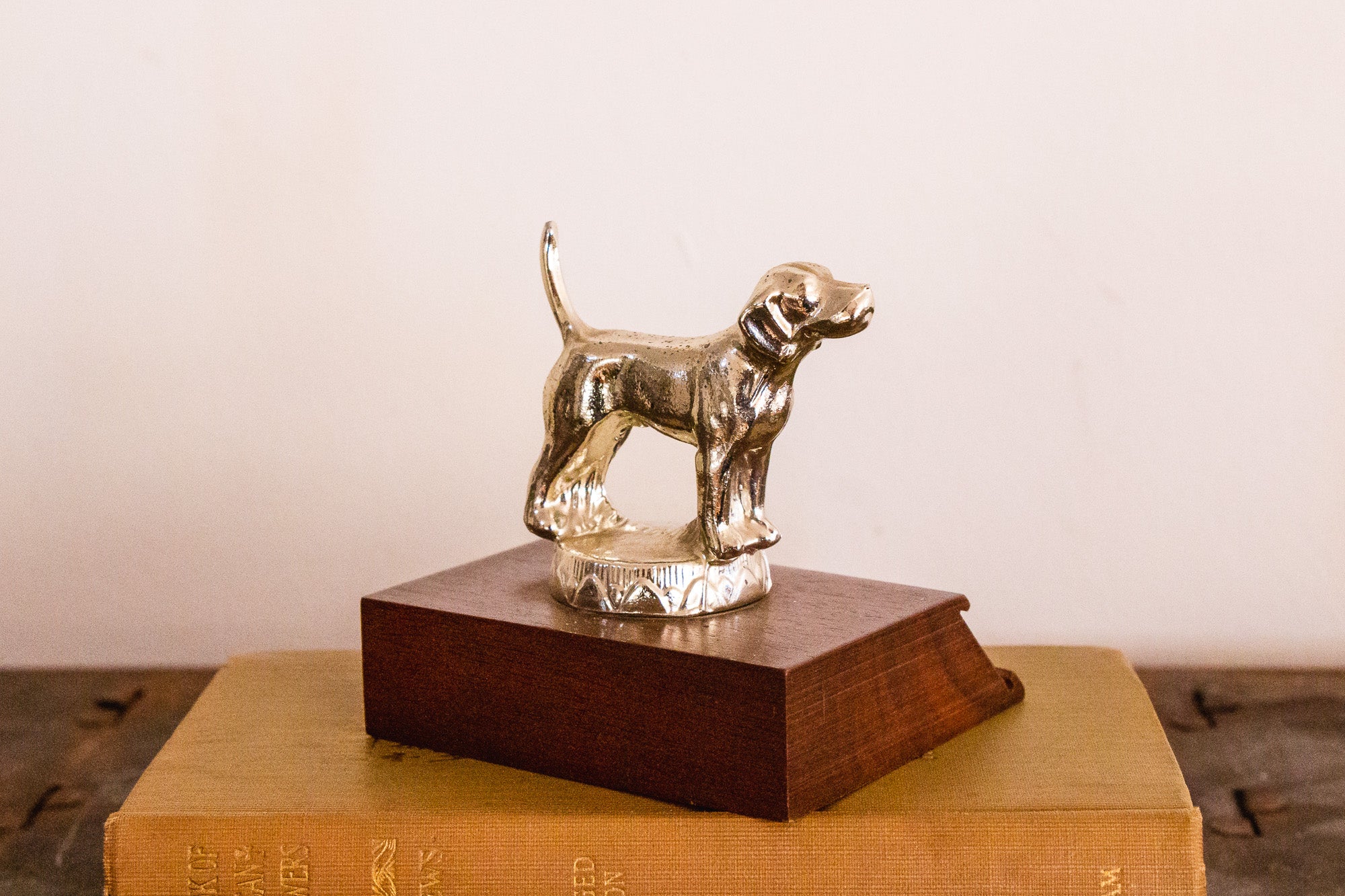 1965 Beagle Dog Show Trophy Vintage Pet Shelf Decor – Eagle's Eye Finds