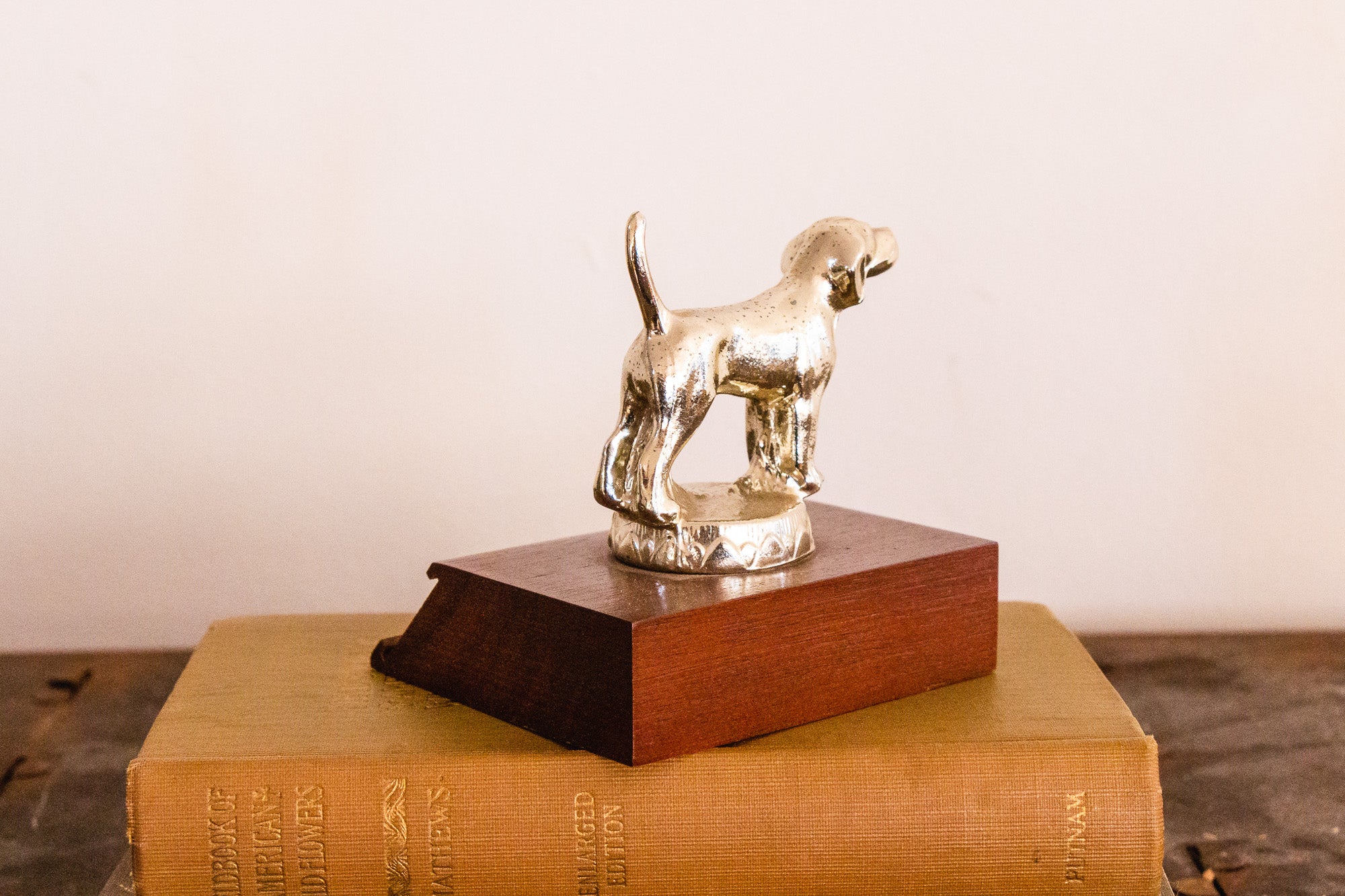 1965 Beagle Dog Show Trophy Vintage Pet Shelf Decor – Eagle's Eye Finds