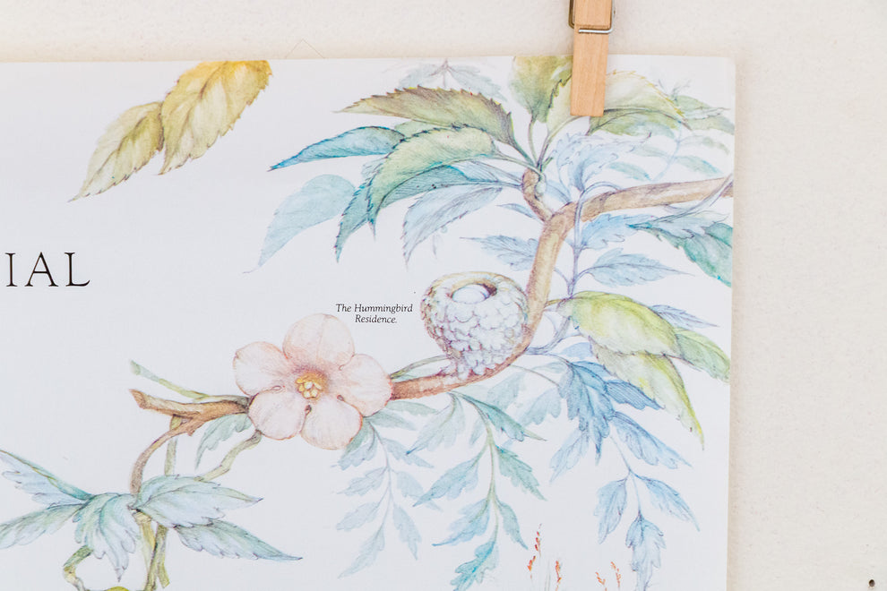 Bird Nest Conservation Vintage Forest Service Poster Wall Decor – Eagle ...