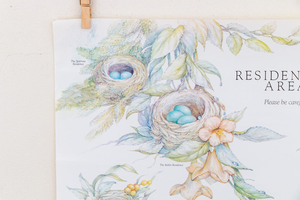 Bird Nest Conservation Vintage Forest Service Poster Wall Decor – Eagle ...