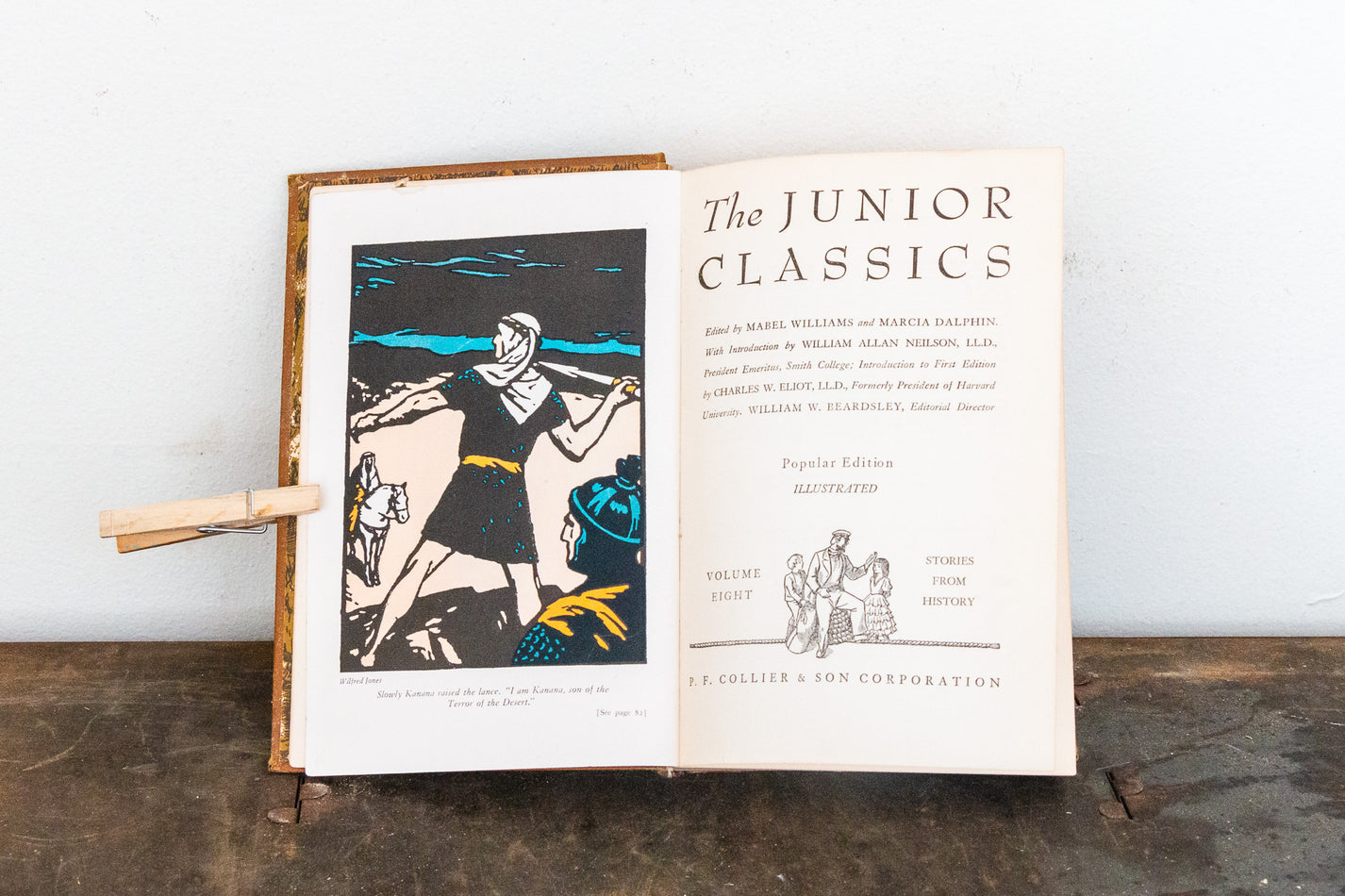 Junior Classics 1938 Collier Book Collection Vintage Earthy Fall Toned ...