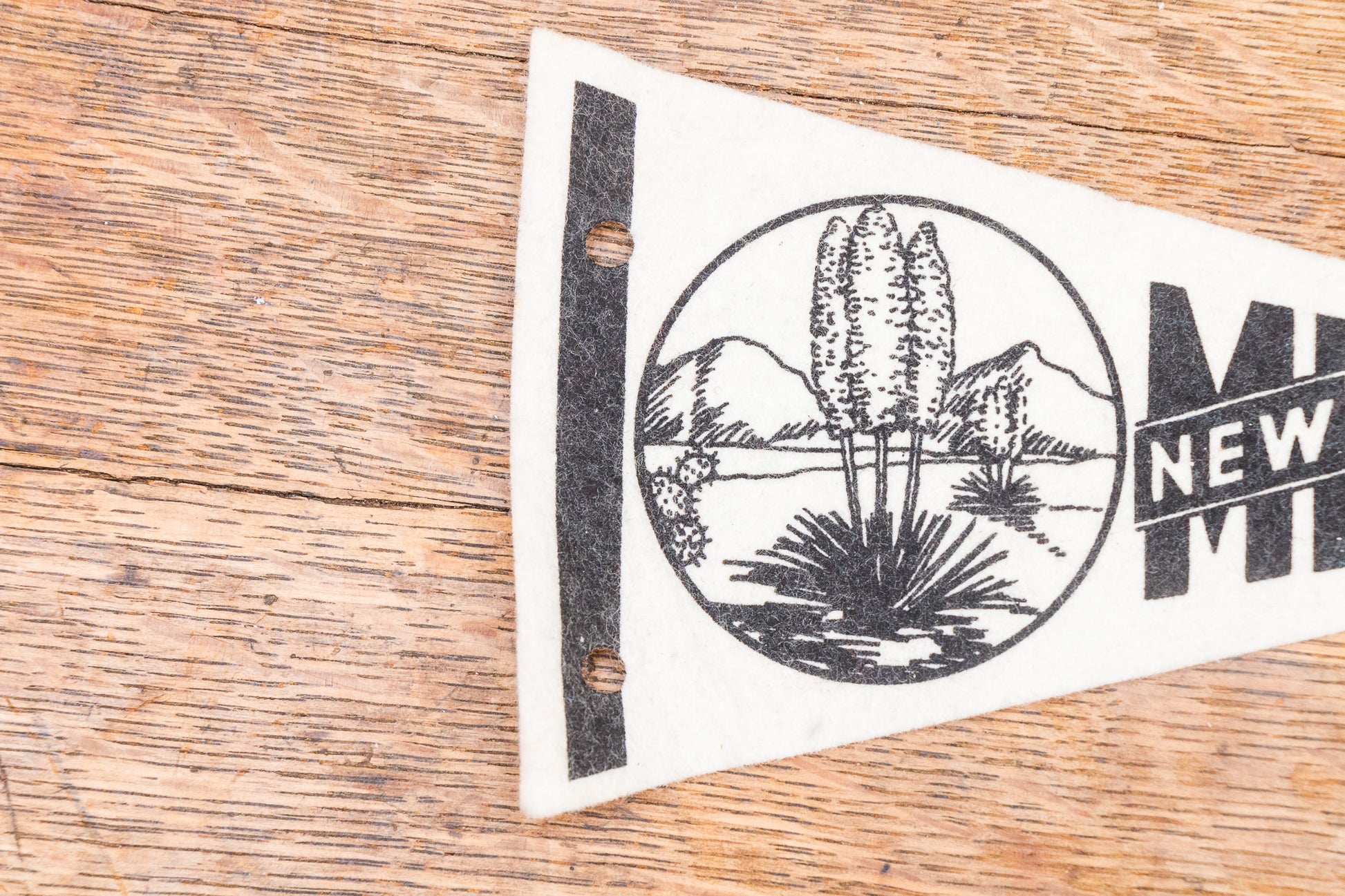 New Mexico State Pennant Vintage Mini White Wall Decor – Eagle's Eye Finds